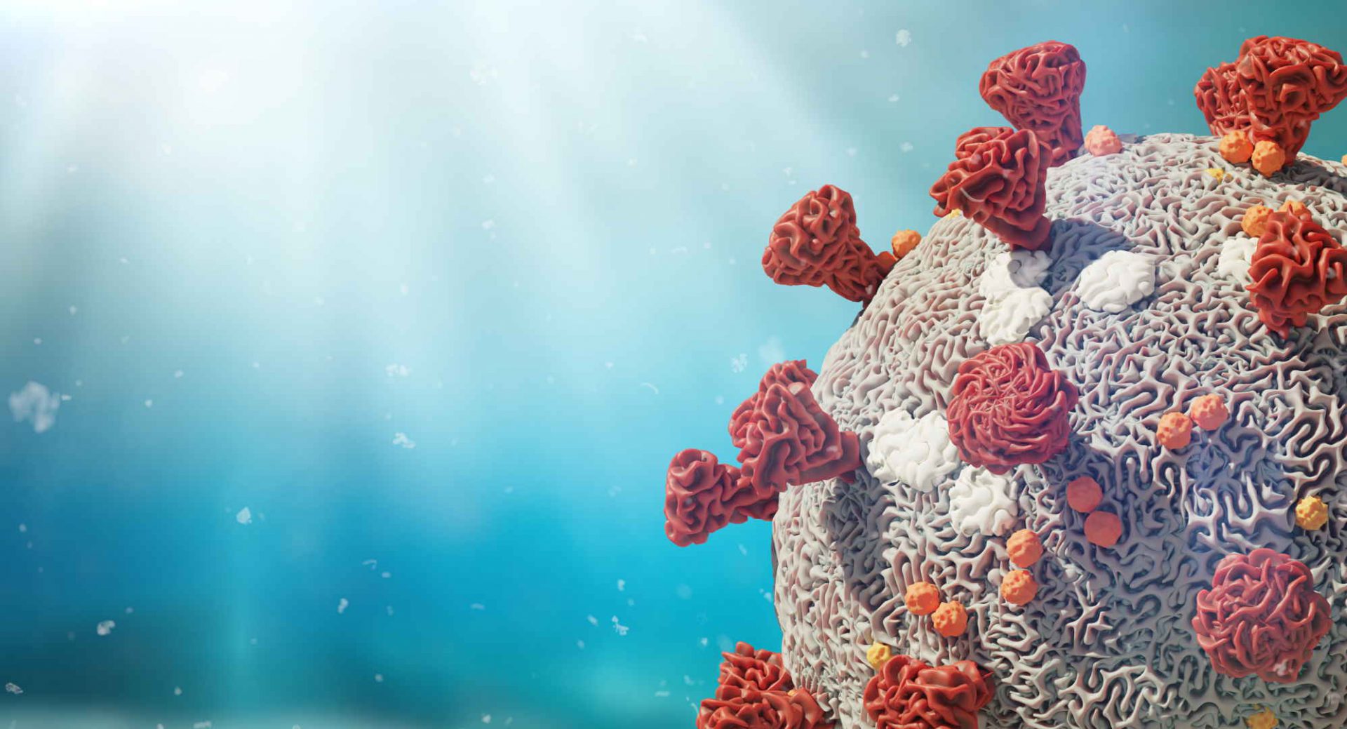 IEC Partners - Unique Growth and Demand Generation Partner